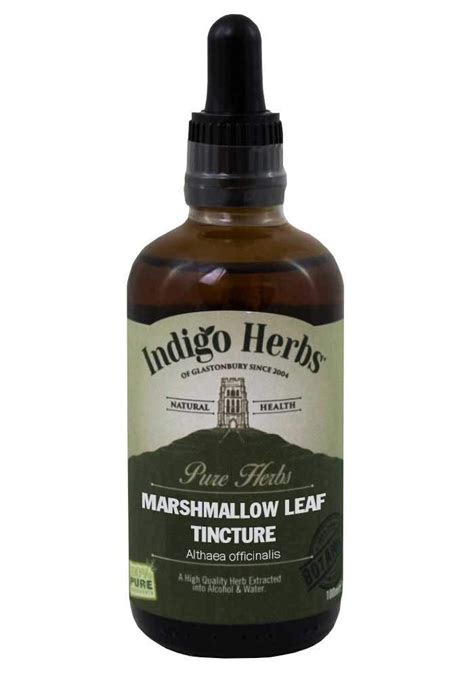 Indigo Herbs Marshmallow Root Tincture 100ml 100 Ml Pack Of 1 Buy