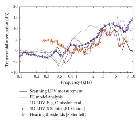 Transcranial Attenuation Results Measured By 1 Scanning Ldv Of This
