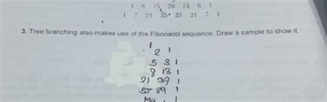 3 Tree Branching Also Makes Use Of The Studyx