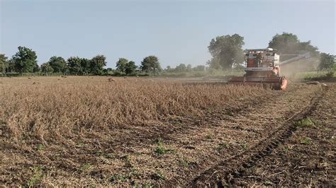 Boota Khan On Linkedin Soybean Harvesting With Sonalika Combine Harvester