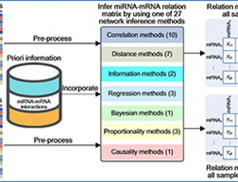 Comparative Evaluation Of Gene Set Analysis Approaches For Rna Seq Data