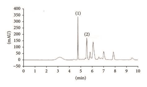Comparative Chromatographic Profiles Showing Isocratic Rp Hplc Download Scientific Diagram