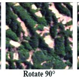 Data Augmentation All Samples Are Augmented By The GDAL Library In Download Scientific Diagram