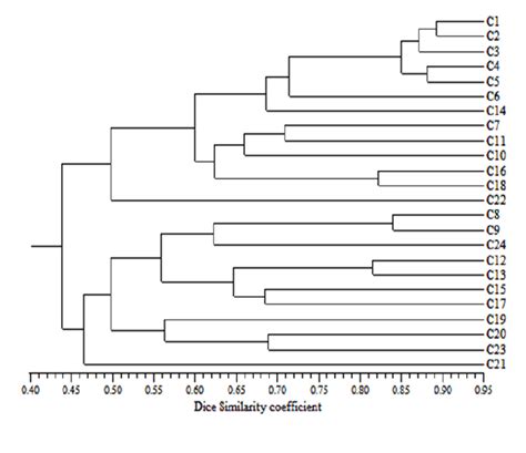 Dendrogram Generated Using Unweighted Pair Group Method With Arithmetic