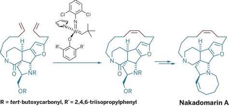 Olefin Metathesis For Macrocycles