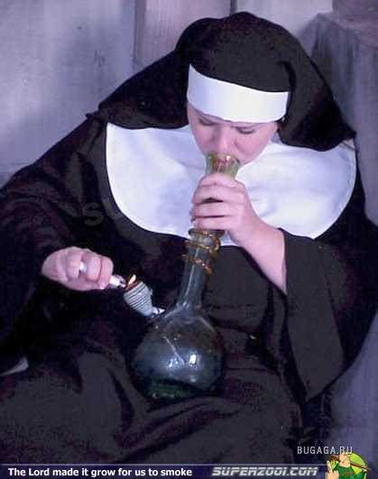 Курим правильна!