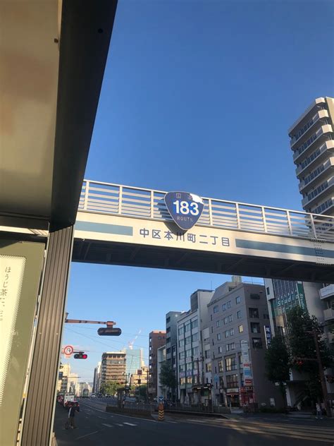 歩道橋の国道標識 環藝録
