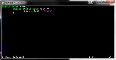 Cygwin Vim In Console2 On Windows Doesnt Colour Code Super User
