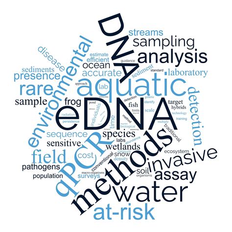 Faqs — Edna Resources