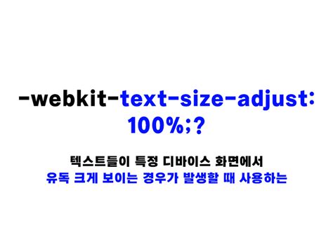 Root 속성 Webkit Text Size Adjust 100