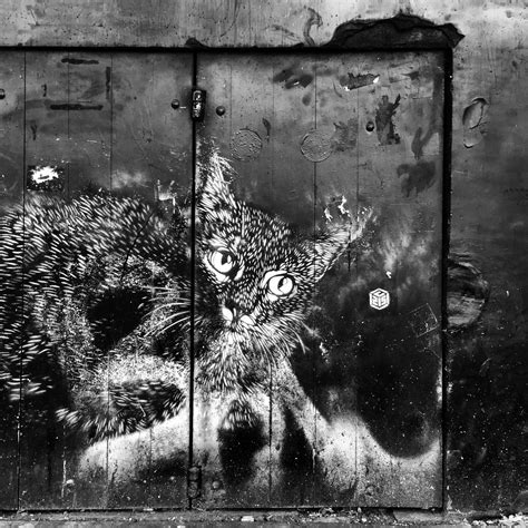Cat By C215 Street Art Cities