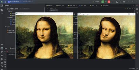 实验2：图像缩放与变形技术实现 Csdn博客