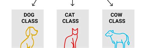 What Is Class In Classification Design Talk