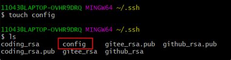 同一台机器配置多个ssh，同时绑定codinggithub和giteecoding和gitee 共存 Csdn博客