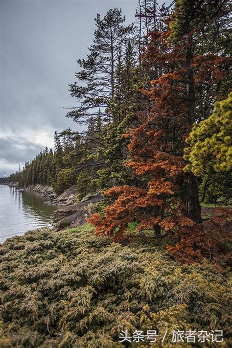 秋天的況味美國黃石湖即景 每日頭條