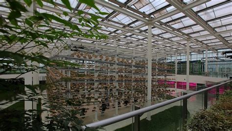 Вертикалното земеделие е ново решение за продоволствената сигурност в големите градове