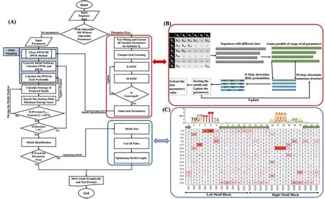 Illustration Of Bml Algorithm A The Overall Workf Low Of Bml Bml
