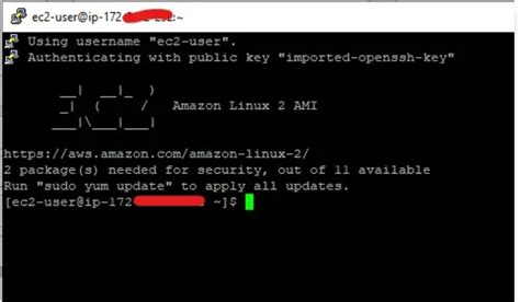 Connect To Aws Ec2 Instance Using Ssh