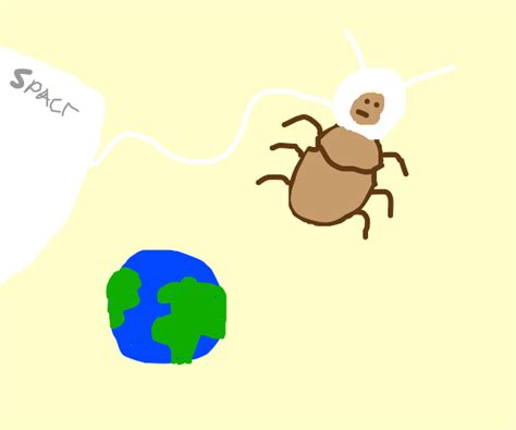 Cockroach In Space Drawception
