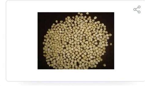 White Maize At Best Price In Sirohi Agriculture