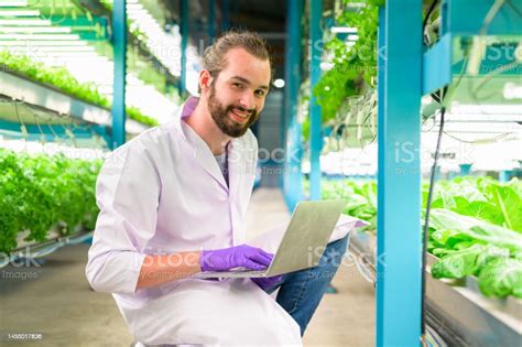 스마트 기술 농장 스마트 실내 농장 공장 연구원 무농약 채소 품종 개발 온실 농업 온실 실내 스마트 농장 공장 건축에 대한 스톡 사진 및 기타 이미지 Istock