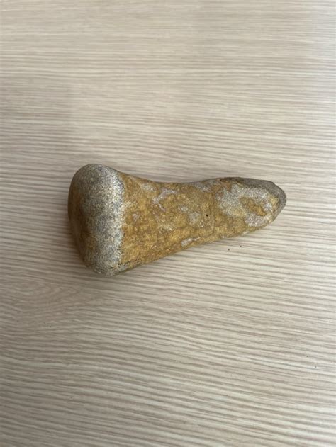 Femur Fossil Or Rock R Fossilid