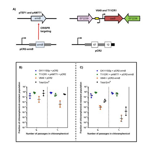 Figures And Data In Exploiting Crispr Cas To Manipulate Enterococcus