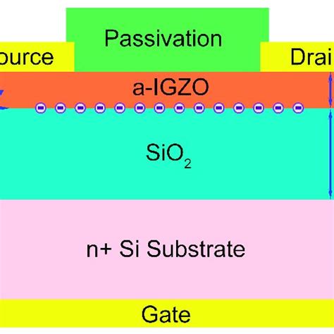 Schematic Diagram Of A Igzo Tfts Used In Modeling Download Scientific Diagram