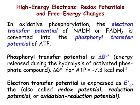 Ppt A Proton Gradient Powers The Synthesis Of Atp Powerpoint Presentation Id 3640125