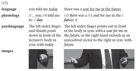 Modelling Paralanguage Using Systemic Functional Semiotics Problems With The Authors Scope And