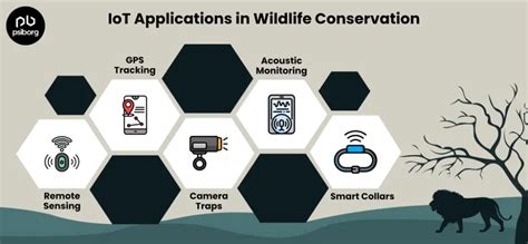 Iot Based Wildlife Tracking And Monitoring System