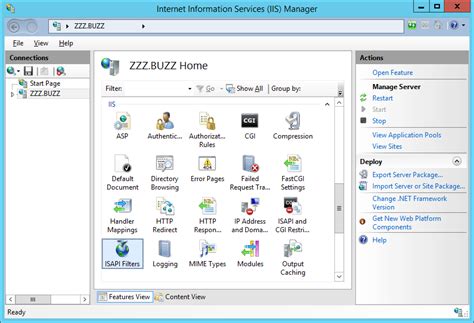 Redirect Traffic To For Iis Via Isapi Filters