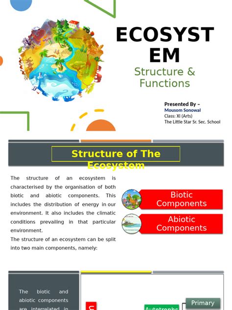 Ecosystem Structure And Functions Pdf Ecosystem Biology