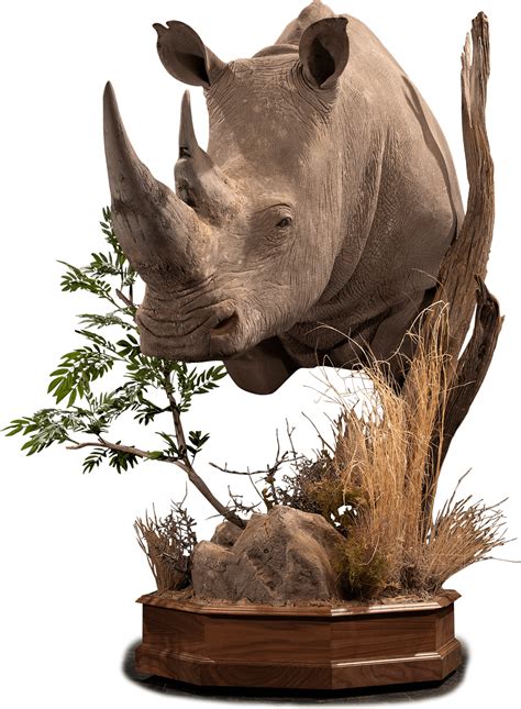 Download Rhinoceros Sculpture Art Piece