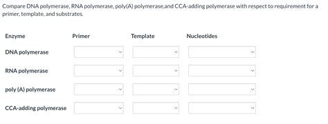 Solved Compare Dna Polymerase Rna Polymerase Poly A