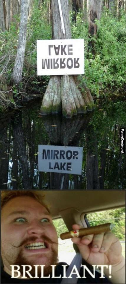 Funny Lol Pics S Tumbex