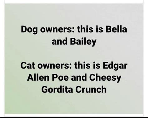 🐶🐱 For More Memes Follow R Memesthatucanrepost R Dank Meme