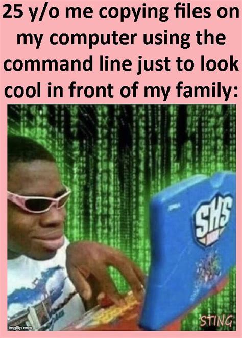 Not The Linux Terminal I Mean The Windows Command Prompt R Memes