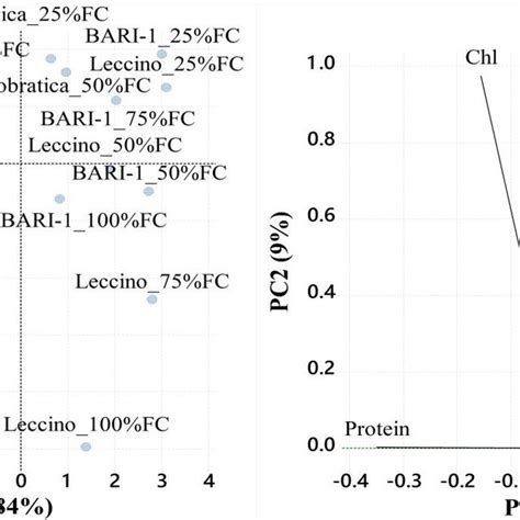 Loading Plot Of Variables Left And Score Plot Of Observations Right Download Scientific