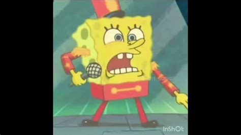 کنسرت باب اسفنجی Youtube