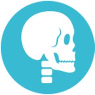Homologous Organs Comparative Anatomy Of Male And Female Genital Systems Anatomy Note