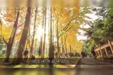 曾经最美的现实版绿野仙踪却因村民拦路收费如今无人问津