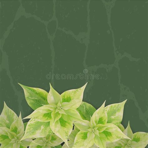 Green Leaf With Shadow On Green Background Stock Vector Illustration Of Creative Ecology