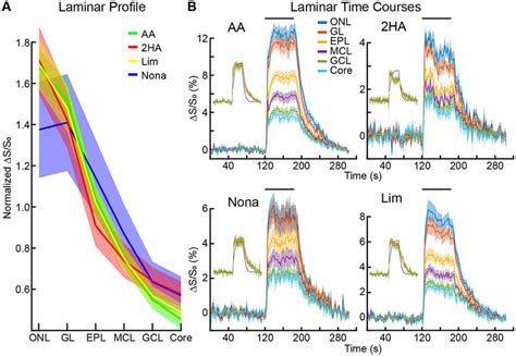 Layer Specific Cbvw Fmri Responses A The Normalized Fmri Signal Download Scientific Diagram