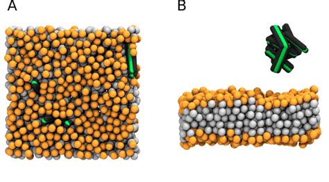 Figure S2 Example Of Systems With Phenomenological Models With Download Scientific Diagram