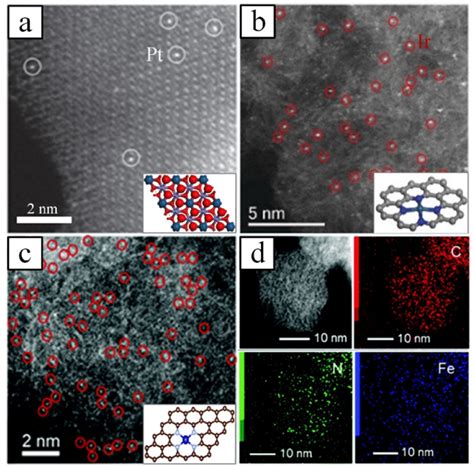A Haadf Stem Image Of Pt Feo X Where Pt Atoms Are Circled In White