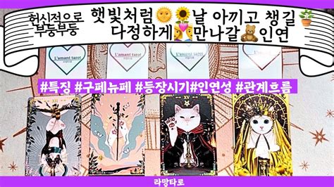 타로연애운 헌신적으로 챙겨줄💖나만 부둥부둥 아껴줄 햇살같은 인연👩‍ ️‍👨관계상관🙅🏻싱글재회커플이미지흐름관계운시기pick A Card💟tarot Youtube
