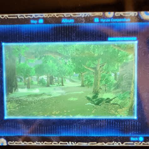 Memory Glitch Rbotw