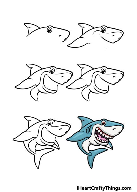 How To Draw A Funny Cartoon Shark
