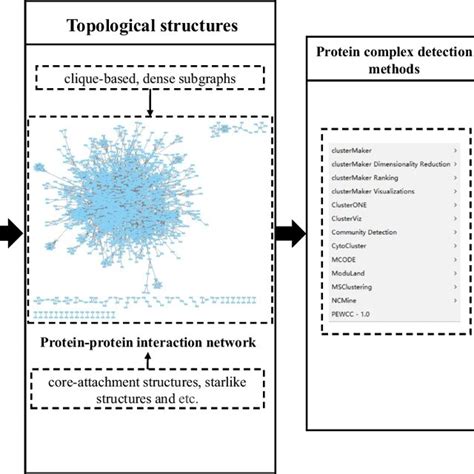 The Detection Process Of Protein Complexes From A Protein Protein Download Scientific Diagram